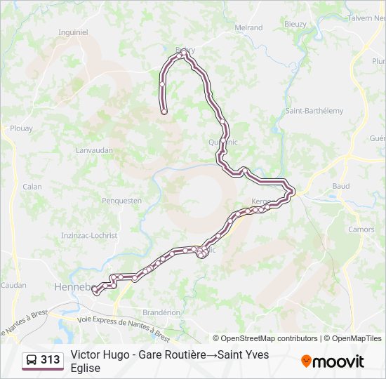 313 Itinéraire: Horaires, Arrêts & Plan - Victor Hugo - Gare Routière‎→ ...
