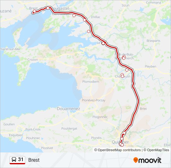 31 Route: Schedules, Stops & Maps - Brest (Updated)