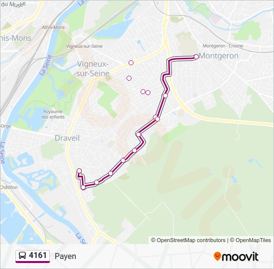 4161 Route: Schedules, Stops & Maps - Payen (Updated)