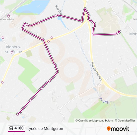 4160 Route: Schedules, Stops & Maps - Lycée de Montgeron (Updated)