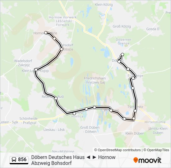 856 Route: Schedules, Stops & Maps - Döbern Schulzentrum (Updated)