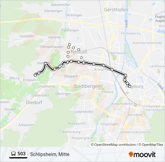 503 Route: Schedules, Stops & Maps - Schlipsheim, Mitte (Updated)