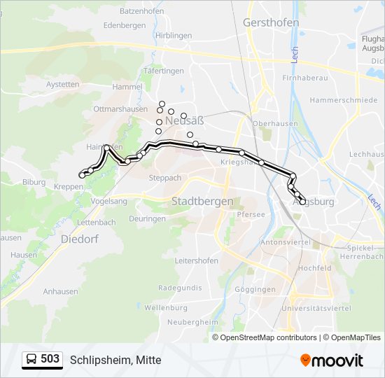 503 Route: Schedules, Stops & Maps - Schlipsheim, Mitte (Updated)