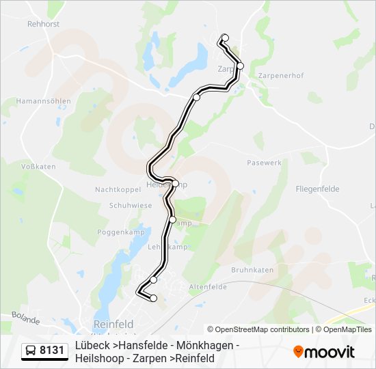 8131 Route: Schedules, Stops & Maps - Zarpen, Schule (Updated)