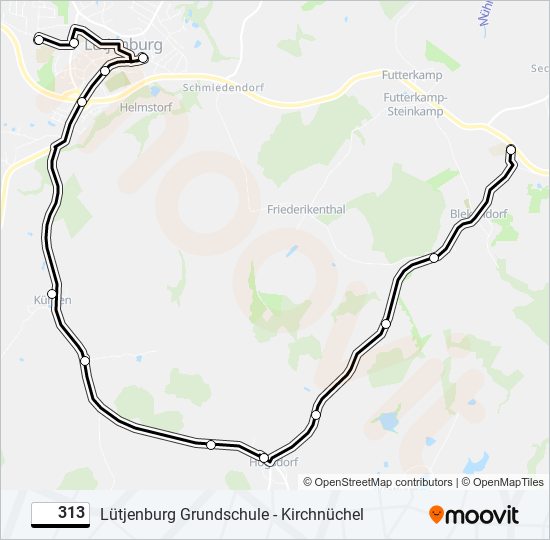 313 Route: Schedules, Stops & Maps - Lütjenburg Schulzentrum (Updated)