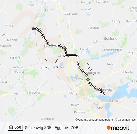 650 Route: Schedules, Stops & Maps - Schleswig Zob (Updated)