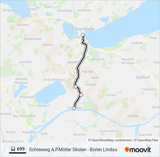 699 Route: Schedules, Stops & Maps - Sehestedt Hauptstraße (Updated)