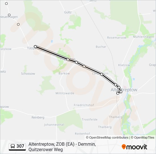 307 Route: Schedules, Stops & Maps - Tützpatz, Schule (Updated)