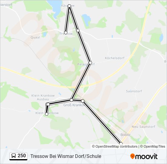 250 Route: Schedules, Stops & Maps - Tressow Bei Wismar Dorf/Schule ...