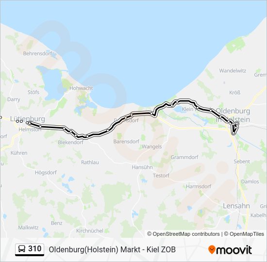 310 Route: Schedules, Stops & Maps - Lütjenburg Zob (Updated)