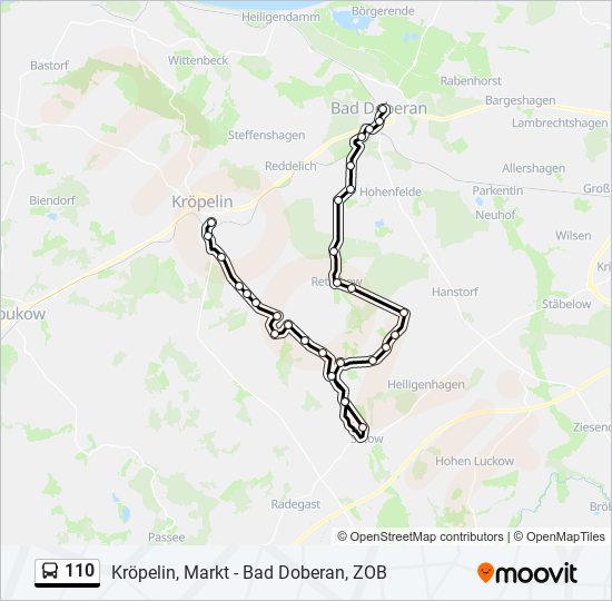110 Route: Schedules, Stops & Maps - Kröpelin, Schulstraße (Updated)