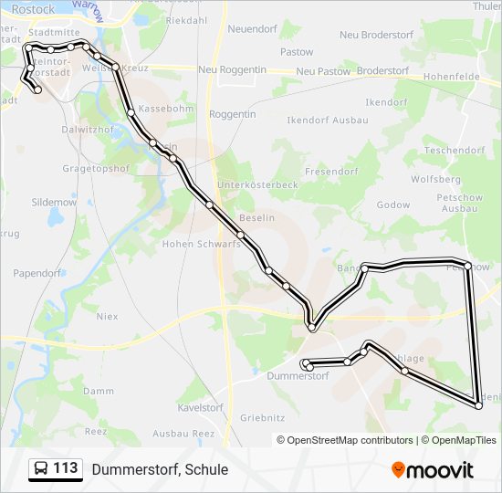 113 Route: Schedules, Stops & Maps - Dummerstorf, Schule (Updated)
