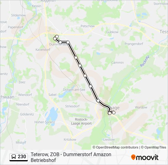 230 Route: Schedules, Stops & Maps - Laage, Breesener Straße (Updated)