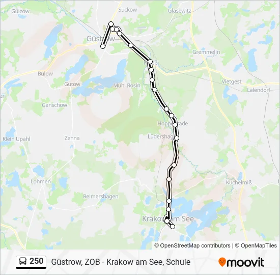 250 Route: Schedules, Stops & Maps - Güstrow, Gleviner Tor (Updated)