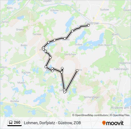 260 Route: Schedules, Stops & Maps - Güstrow, Schweriner Straße (Updated)