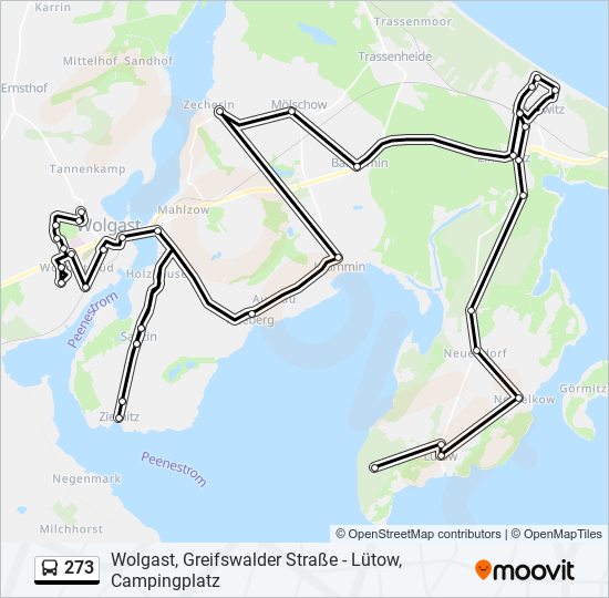 273 Route: Schedules, Stops & Maps - Lütow, Campingplatz (Updated)