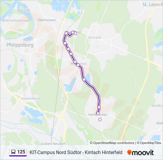 125 Route: Schedules, Stops & Maps - Waghäusel Rathaus (Updated)