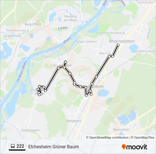 222 Route: Schedules, Stops & Maps - Elchesheim Grüner Baum (Updated)