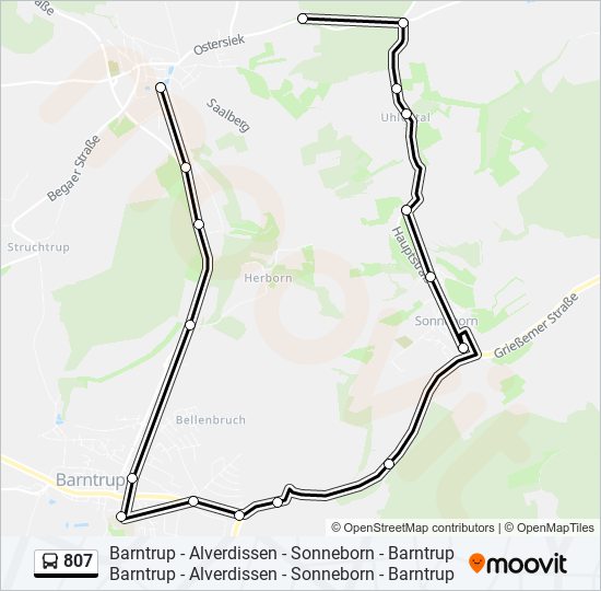 807 Route: Schedules, Stops & Maps - Ba-Alverdissen, Schule (Updated)
