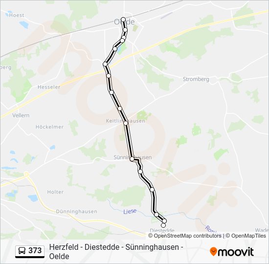 373 Route: Schedules, Stops & Maps - Oelde, Bahnhof (Updated)