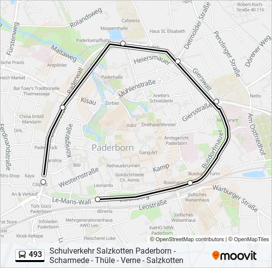 493 Route: Schedules, Stops & Maps - Paderborn, Rosentor (Updated)