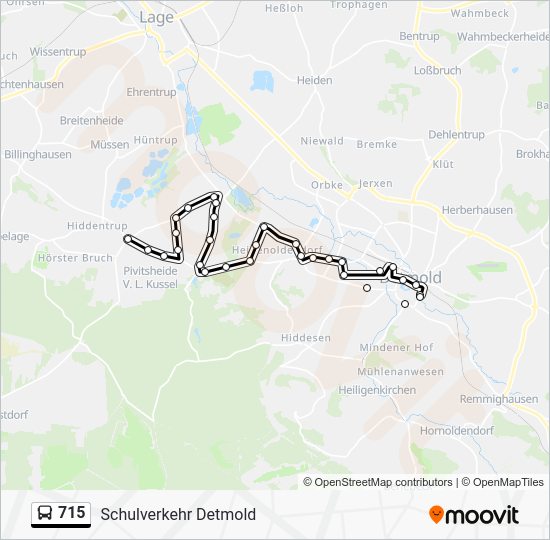 715 Route: Schedules, Stops & Maps - Detmold, Weerthplatz (Updated)