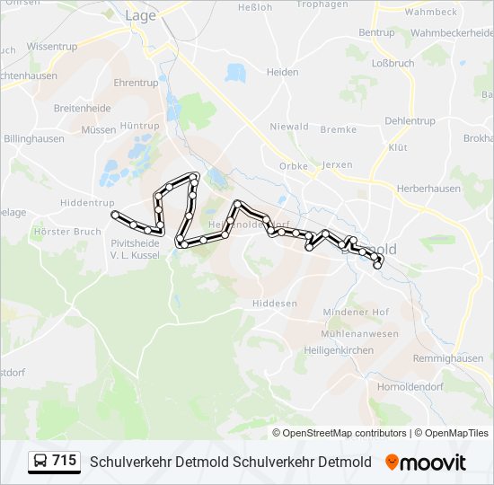 715 Route: Schedules, Stops & Maps - Detmold, Weerthplatz (Updated)