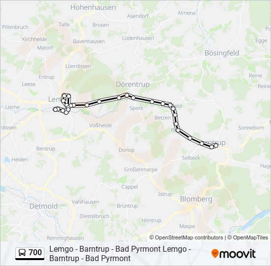 700 Route: Schedules, Stops & Maps - Lemgo, Bahnhof Steig 2 (Updated)