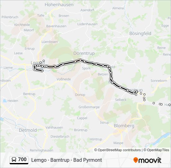 700 Route: Schedules, Stops & Maps - Barntrup, Bahnhof (Updated)
