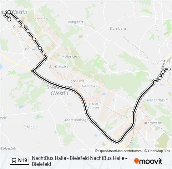 n19 Route: Schedules, Stops & Maps - Halle, Bahnhof/Zob (Updated)