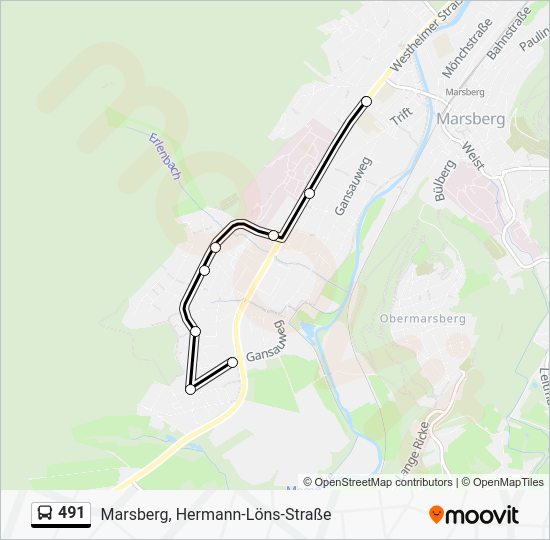 491 Route: Schedules, Stops & Maps - Marsberg, Hermann-Löns-Straße ...