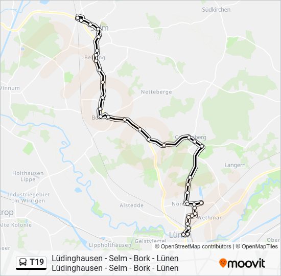t19 Route: Schedules, Stops & Maps - Selm, Osthaus (Updated)