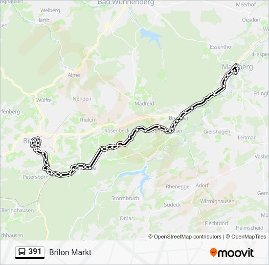 391 Route: Schedules, Stops & Maps - Brilon Markt (Updated)