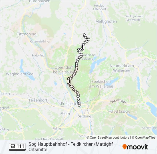 111 Route: Schedules, Stops & Maps - Bergheim S-Bahn (Updated)