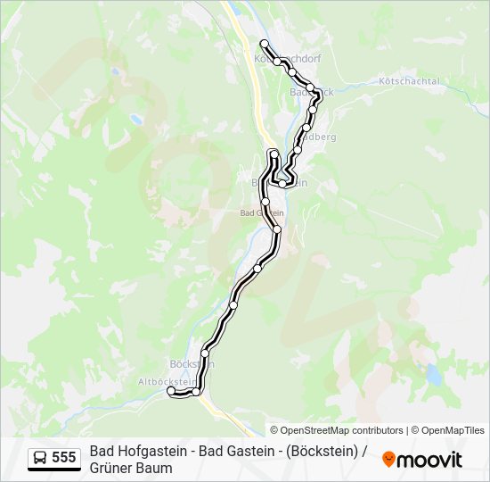 555 Route: Schedules, Stops & Maps - Bad Gastein Erlengrund (Updated)