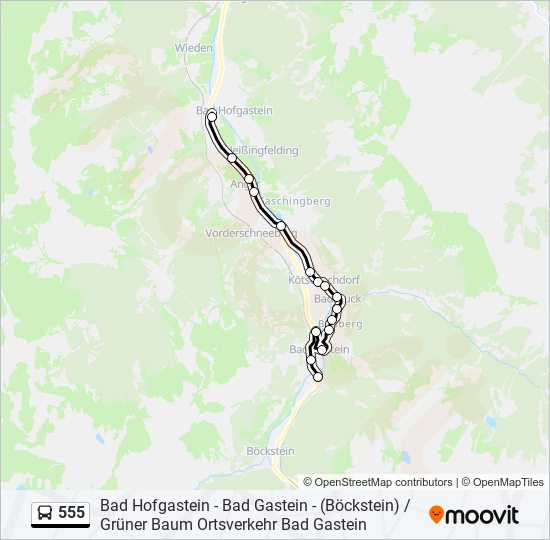 555 Route: Schedules, Stops & Maps - Bad Gastein Gemeindesiedlung (Updated)