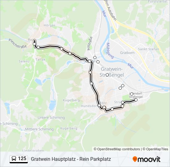 125 Route: Schedules, Stops & Maps - Rein Parkplatz (Updated)