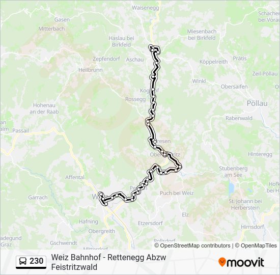230 Route: Schedules, Stops & Maps - Birkfeld Busbahnhof (Updated)