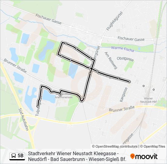 5B Route: Schedules, Stops & Maps - Wiener Neustadt Kleegasse (Updated)