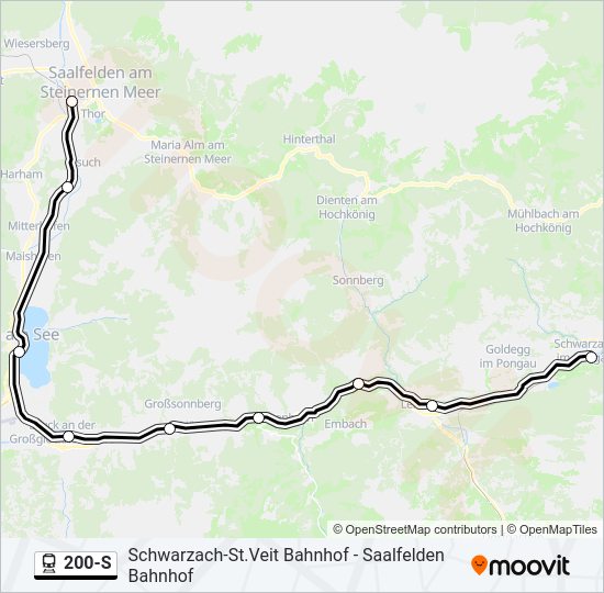 200s Route: Schedules, Stops & Maps - Saalfelden (Updated)