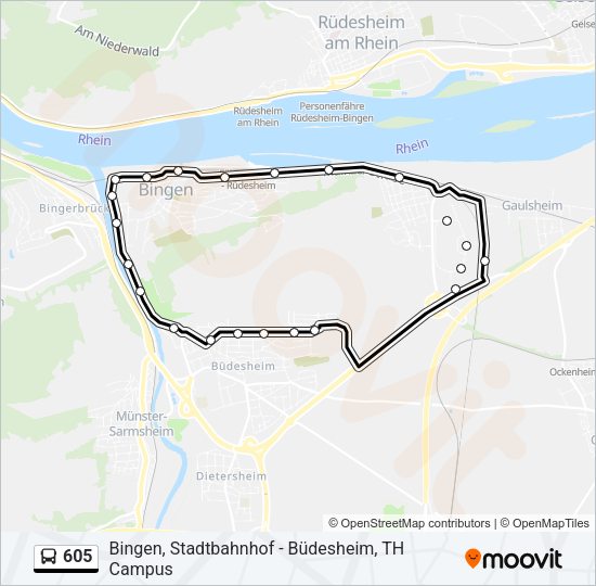 605 Route: Schedules, Stops & Maps - Bingen, Stadtbahnhof (Updated)