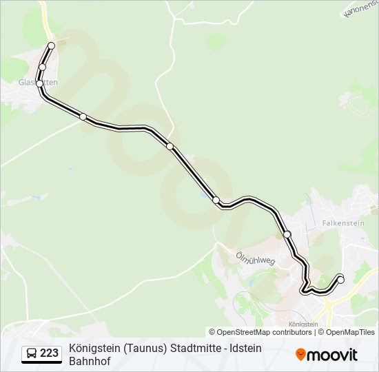 223 Route: Schedules, Stops & Maps - Glashütten Dornsweg (Updated)