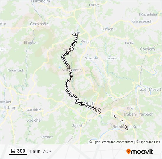 300 Route: Schedules, Stops & Maps - Daun, ZOB (Updated)