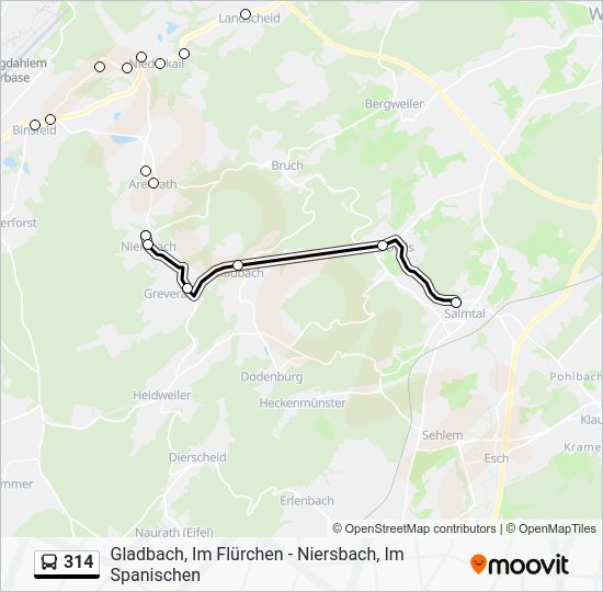 314 Route: Schedules, Stops & Maps - Salmtal, Igs (Updated)