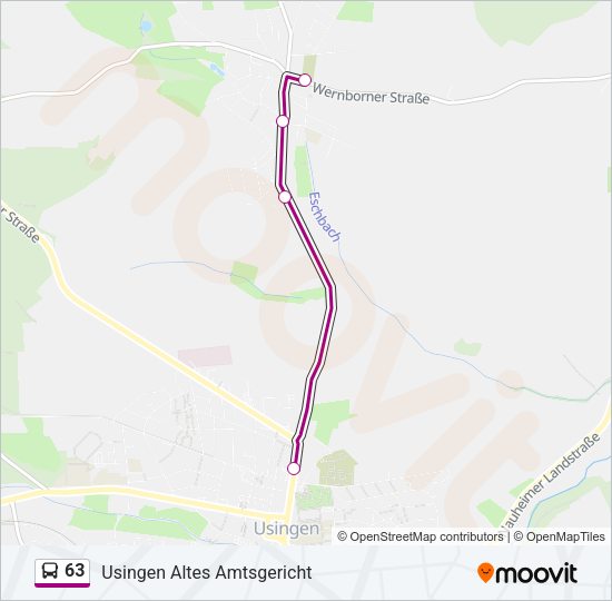 63 Route: Schedules, Stops & Maps - Usingen Altes Amtsgericht (Updated)