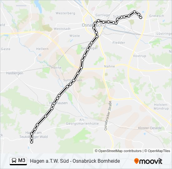 m3 Route: Schedules, Stops & Maps - Hagen A.T.W. (Updated)