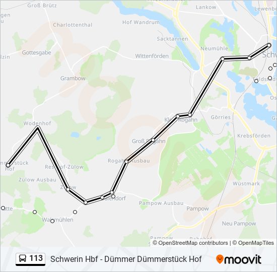 113 Route: Schedules, Stops & Maps - Dümmer Dümmerstück Hof (Updated)