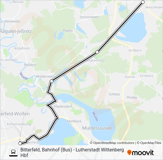 s8 Route: Schedules, Stops & Maps - Gräfenhainichen (Updated)