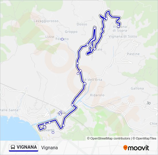 vignana Route: Schedules, Stops & Maps - Vignana (Updated)