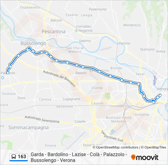 163 Route: Schedules, Stops & Maps - Verona - Via Valverde (Updated)
